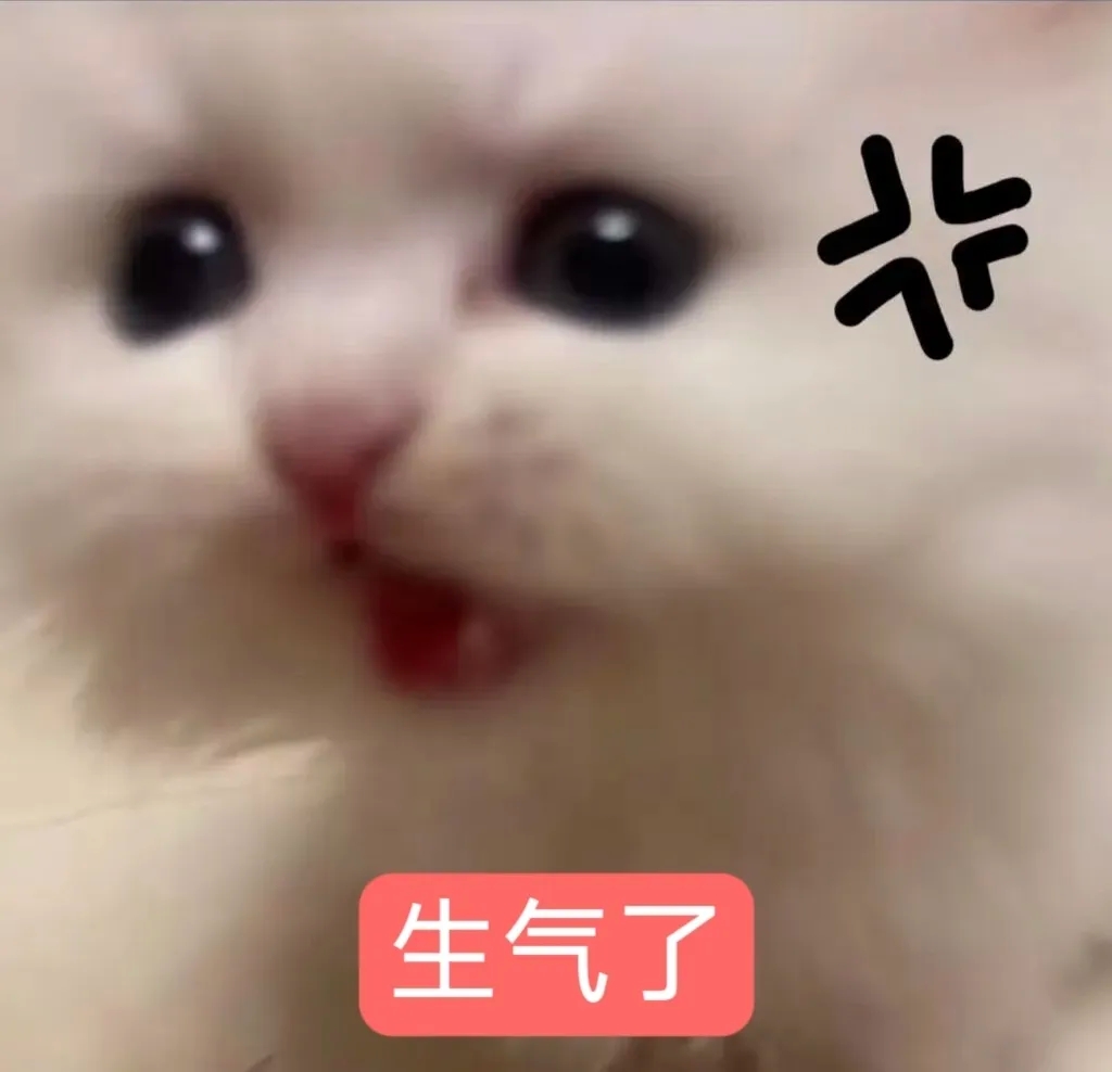 小小猫幼崽带字表情包｜猫儿这个萌表情包 可爱猫咪瞪眼张嘴配文字“生气了”，尽显萌态惹人爱表情包图片gif动图 - 求表情网,斗图从此不求人!